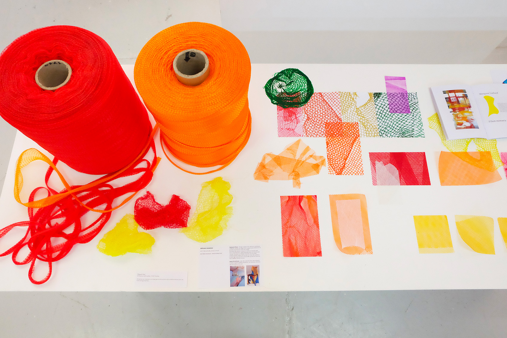 filum memoria – Morgane Liébard